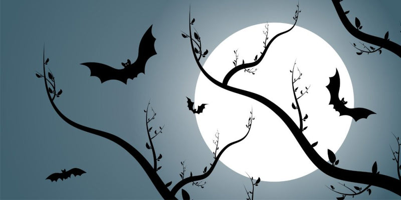 Bats in Chinese Culture & Feng Shui Symbolism